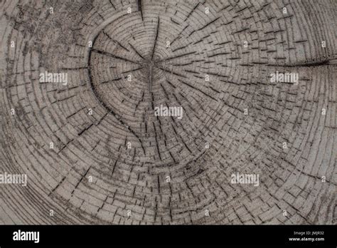 Wood Texture Natural Tree Trunk Stock Photo Alamy