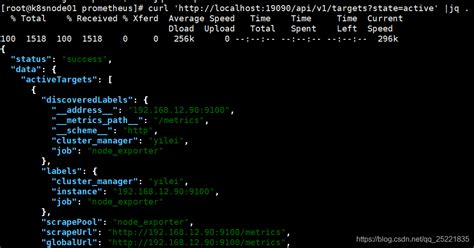 Linux 格式化输出json数据prometheus Metrcs Json格式化 Csdn博客