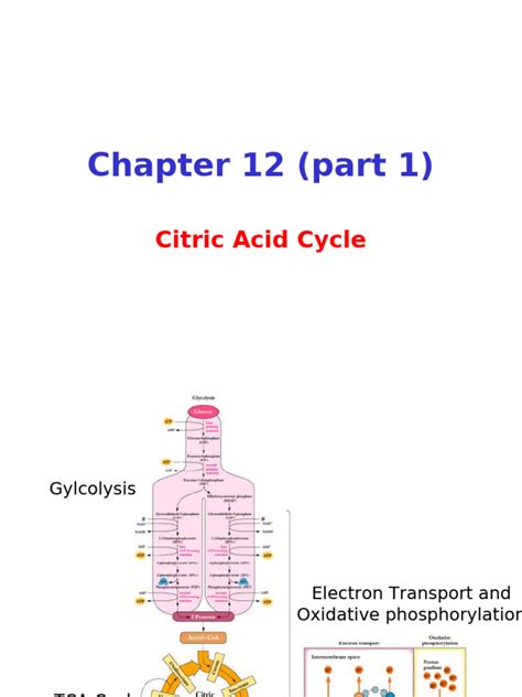 Chapter 12 Part 1 Lecture Pdf
