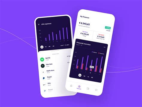 a flutter financial application with a custom ui without using external libraries