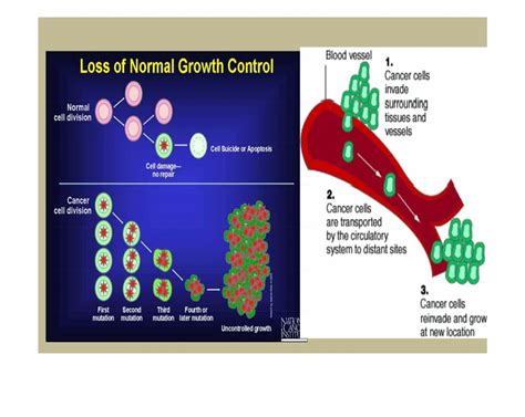 Ferinject Injection At ₹ 7000 Vial Ferric Carboxymaltose Injection In Nagpur Id 2854229848648
