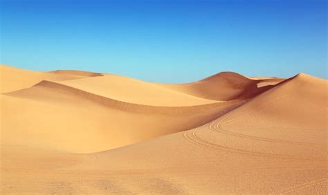 Ученые выяснили что было на месте самой большой пустыни мира тысячелетиями ранее Monavista