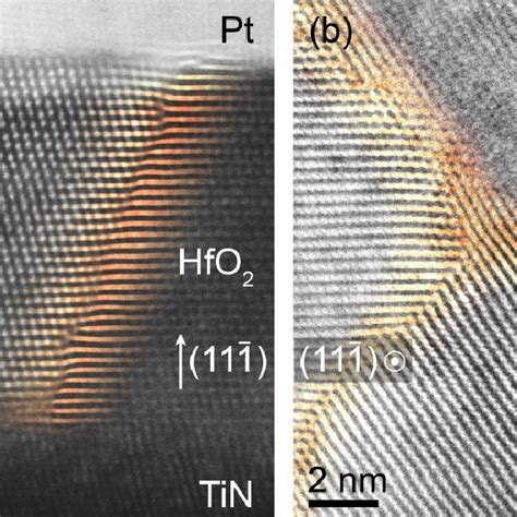 A Cross Sectional Atomic Resolution Haadf Stem Image Of A Download Scientific Diagram