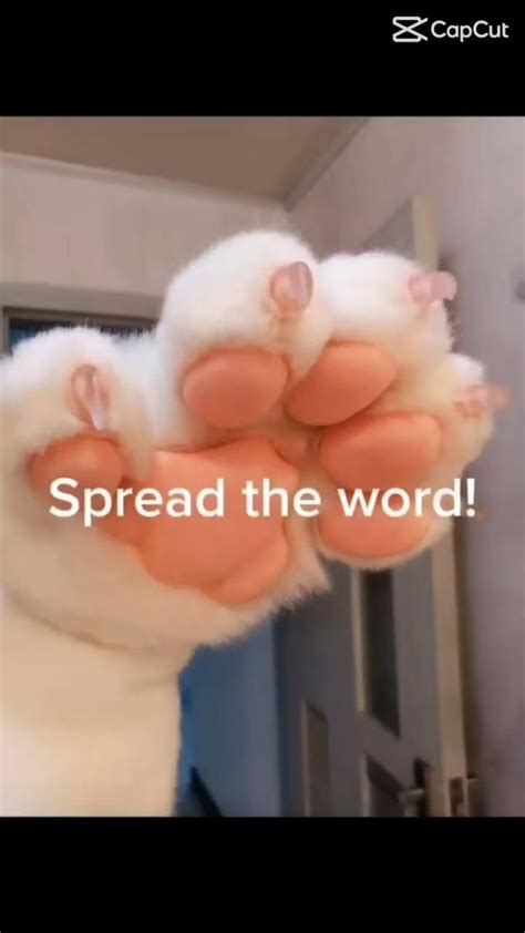 Spread The Word The Lines Project Whatever Color You Are With Sharpie Do A Line Circle Etc