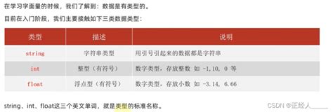 python 基础语法全面解析：字面量、注释、变量等入门概念介绍 python字面量 csdn博客