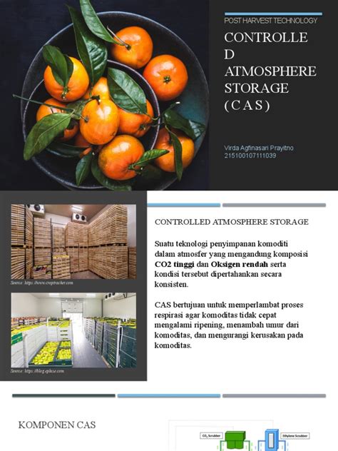 Controlled Atmosphere Storage Pdf