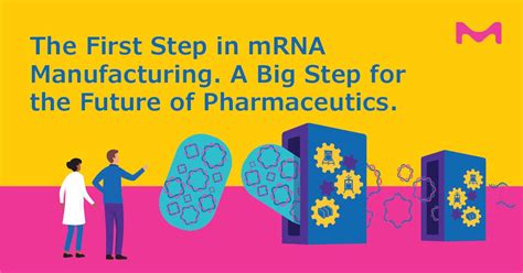 Plasmid Dna Purification Process Merck Life Science
