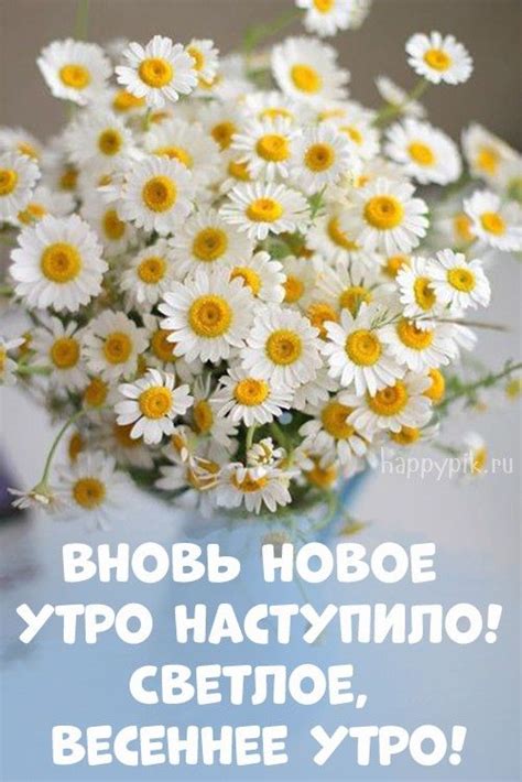 🌸 ☕ Красивые картинки С добрым весенним утром 170 шт