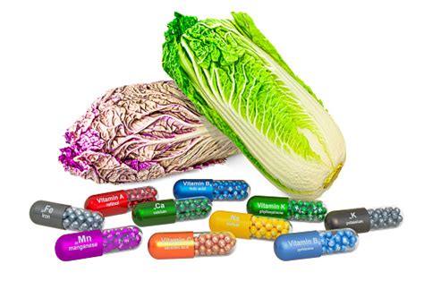 중국 양배추의 비타민과 미네랄 흰색 배경에 고립 된 3d 렌더링 0명에 대한 스톡 사진 및 기타 이미지 0명 3차원 형태