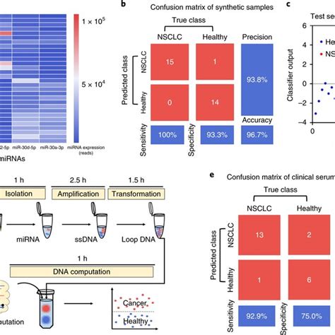Dna Computation Platform For Nsclc Diagnosis A The Workflow For Nsclc