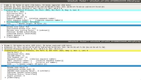 Deep Packet Inspection Of Hping3 Captures Download Scientific Diagram