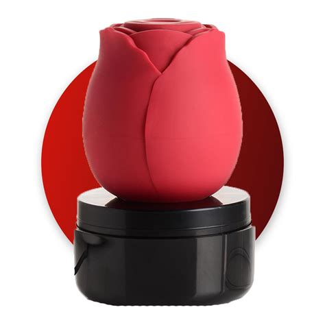 My Secret Sex Toy Delivery Ms My Secret Sex Toy Delivery