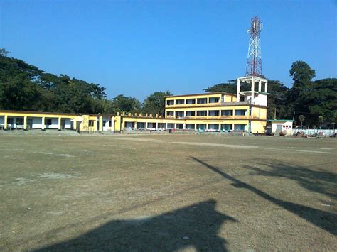 Al Haj Sarwar Khan University College Khulna আমাদের এই পৃথিবীতে অনেক রকমের রহস্যময় গাছ আছে