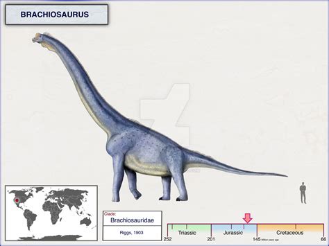 Brachiosaurus By Cisiopurple On Deviantart