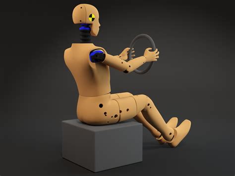 Crash Test Dummy 3d Model By Squir