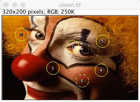 eclipseでimagejのplugin作成 マウスでクリックした場所にoval roiを描く 生物屋さんのためのゼロからのプログラミング
