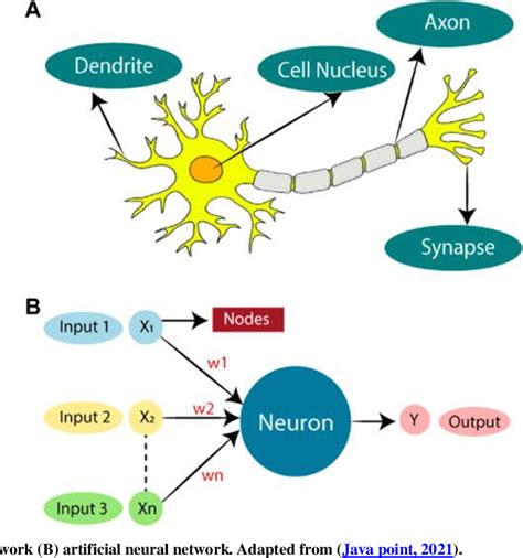 Figure 3 From Recent Advancements In Increasing The Efficiency Of The Biodiesel Semantic Scholar