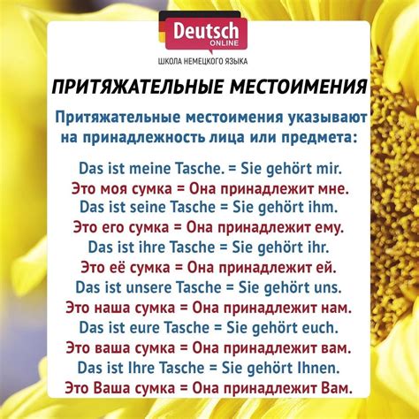 Местоимения в немецком Притяжательные местоимения полезные выражения