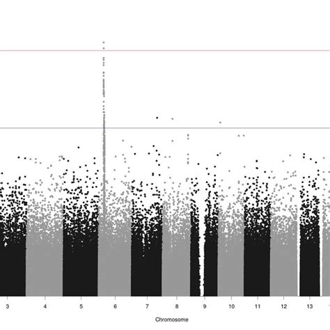 Manhattan Plot Reporting The Association Results Between SNPs And Download Scientific Diagram