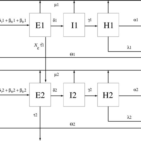 Diagram Summarizing The Simplified Model Considered In Section 3 Download Scientific Diagram