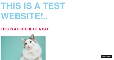 Test Web Codesandbox