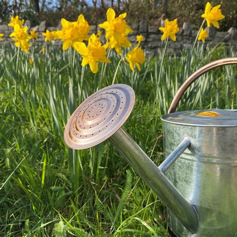 9 Litre Metal Watering Can With Rose