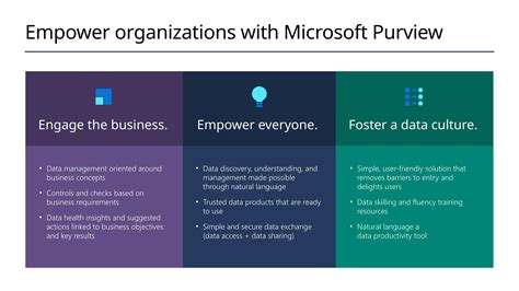 Microsoft Purview Data Governance L100 Pitch Deck Pptx