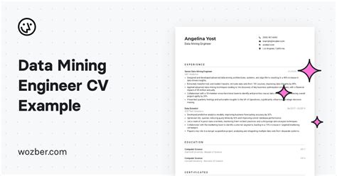Data Mining Engineer Cv Example