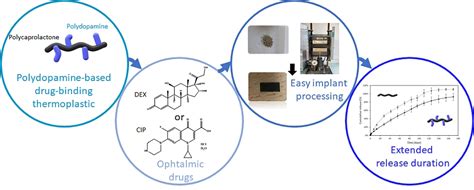 Polyester Polydopamine Copolymers For Intravitreal Drug Delivery Role Of Polydopamine Drug