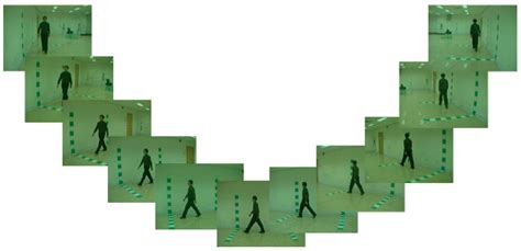 Cross View Gait Recognition Method Based On Multi Teacher Joint Knowledge Distillation