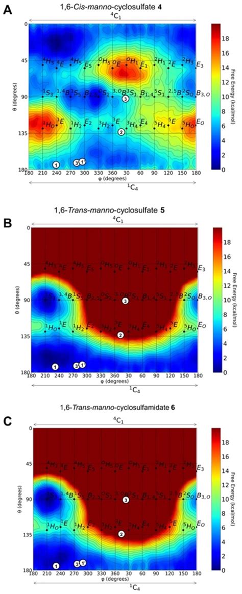 Conformational Free Energy Landscapes Fels Mercator Projection Download Scientific Diagram