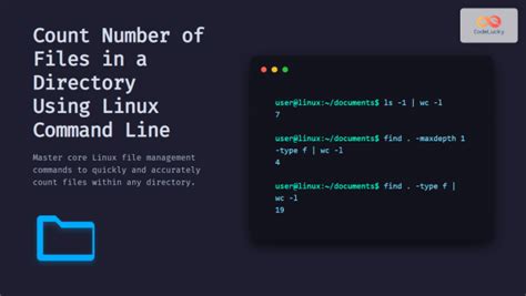 How Do I Make A Zip File On Linux Command Line Tutorial Codelucky