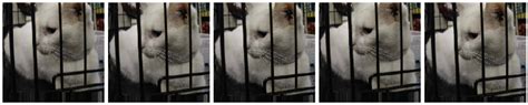 image data augmentation image processing in tensorflow part 2 by