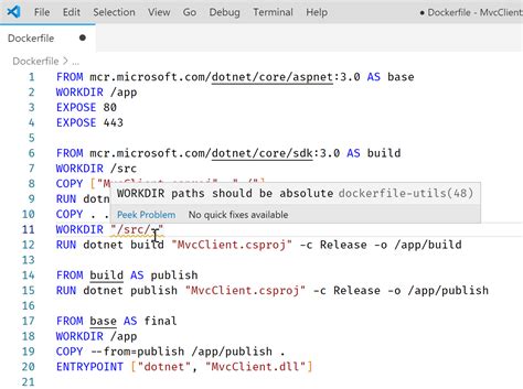 workdir paths should be absolute · issue 1492 · microsoft vscode