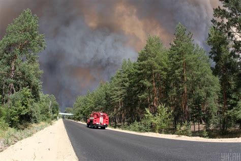 Масштабна пожежа під Сіверськодонецьком вогонь охопив понад 300 гектарів