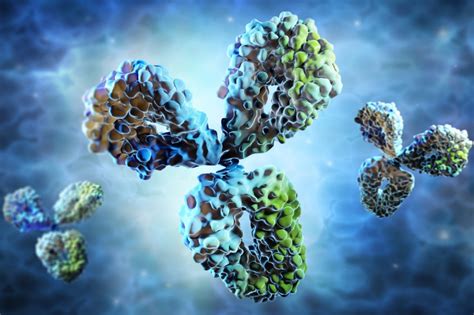 High Sequence Coverage Peptide Mapping Of A Monoclonal Antibody With