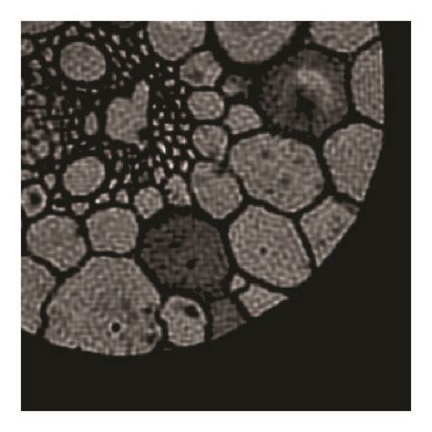 The True Image A The Point Spread Function B And The Blurred And