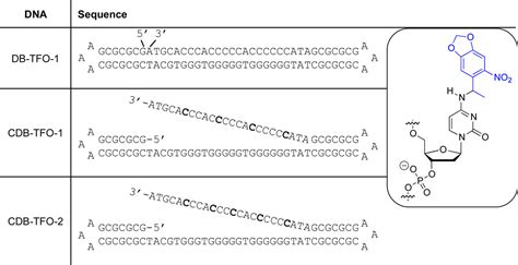 Regulation Of Transcription Through Light Activation And Light