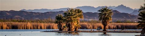 Boondocking Mittry Lake Yuma Arizona Womo Abenteuer