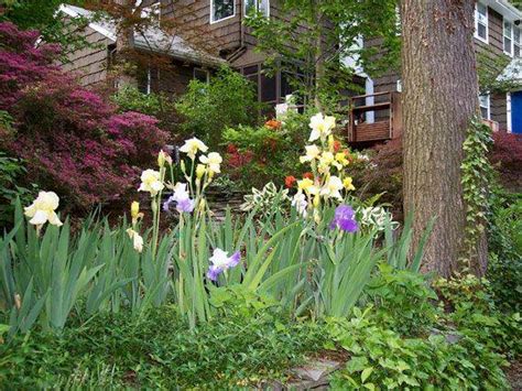 22 Iris Garden Design Ideas You Cannot Miss Sharonsable