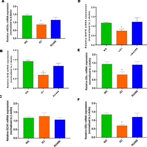 Effect Of Sex Hormone Receptor Antagonist Er Ici 182 780 And Pr Download Scientific Diagram