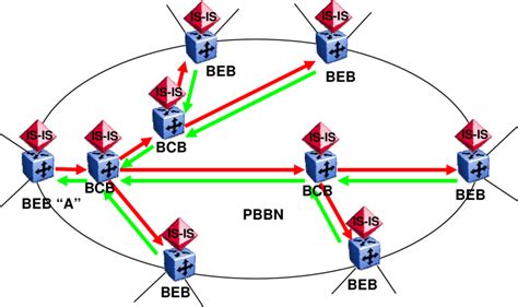 Multicast And Unicast Paths Computed By Link State For Beb A Download Scientific Diagram