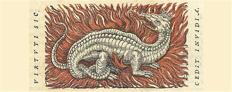Fahrenheit 451 Salamander