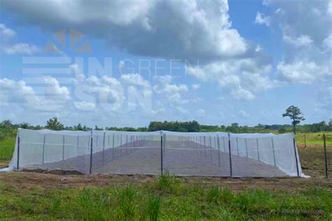 3 000 Square Meter Insect Netting Structure Nigeria Africa Insongreen