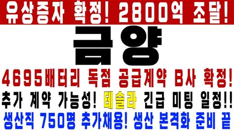 금양 주가전망 🔴유상증자확정 2800억조달 4695배터리 독점공급계약 B사확정 추가계약 가능성 테슬라 긴급 미팅 일정 생산직 750명 추가채용 생산 본격화