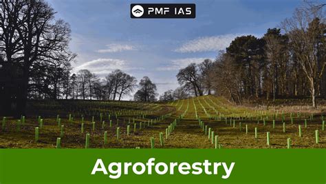 Agroforestry Types Significance And Challenges Associated