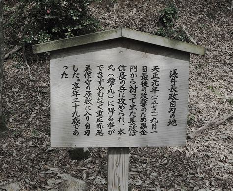 浅井長政 墓 城郭墓所砲台