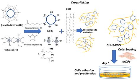 Sustainable Vegetable Oil Based Biomaterials Synthesis And Biomedical Applications