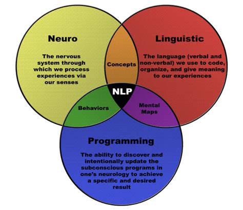 Neuro Linguistic Programming NLP What It Is How It Works