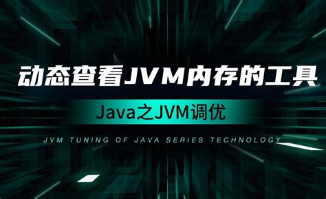 动态查看jvm内存的工具 java之jvm调优概述 编程开发教程 java 虎课网
